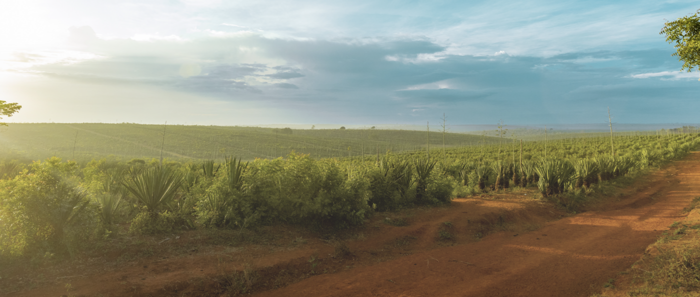 GIIN's Leadership in Impact Investing | Aspectus