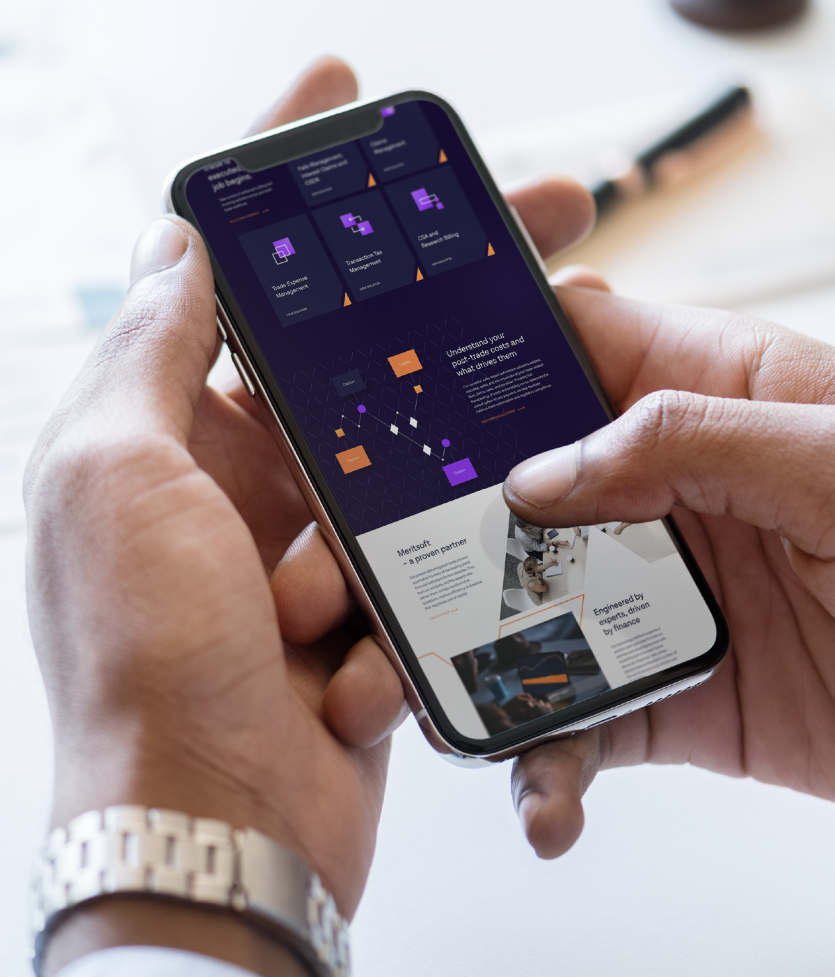 Meritsoft - Aspectus