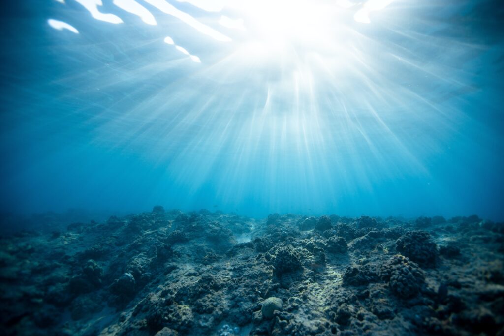 The blue economy: don’t fall into the buzzword trap at this year’s ...